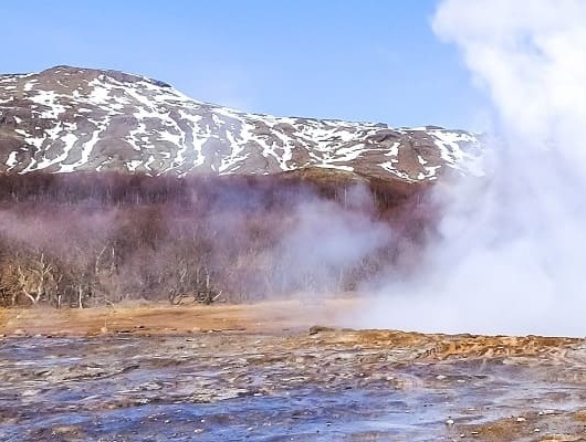 Que manger en Islande
